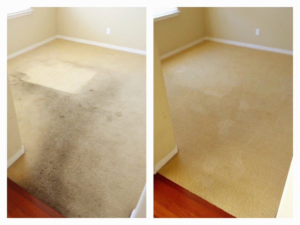 How to Clean a Rug: Easy Tips for Fresh and Clean Rugs - Ph Cleaners